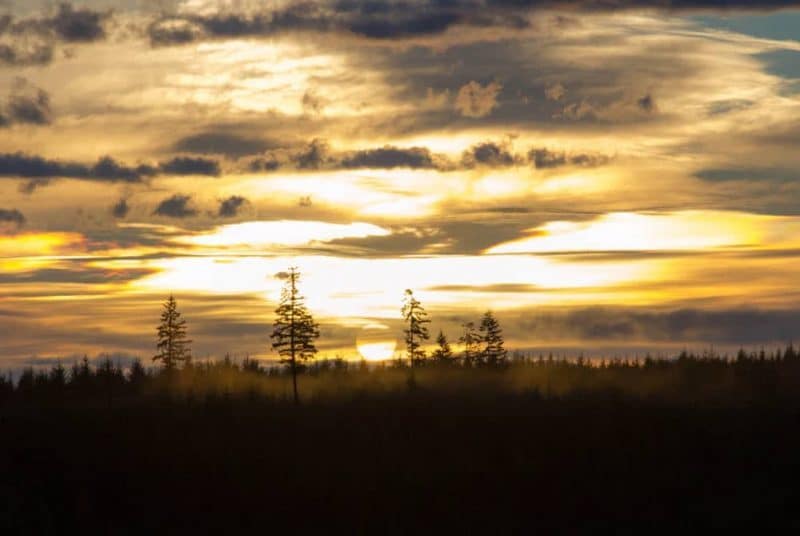 Linda Modaro on the need for ethical reflection by teachers and dharma ...