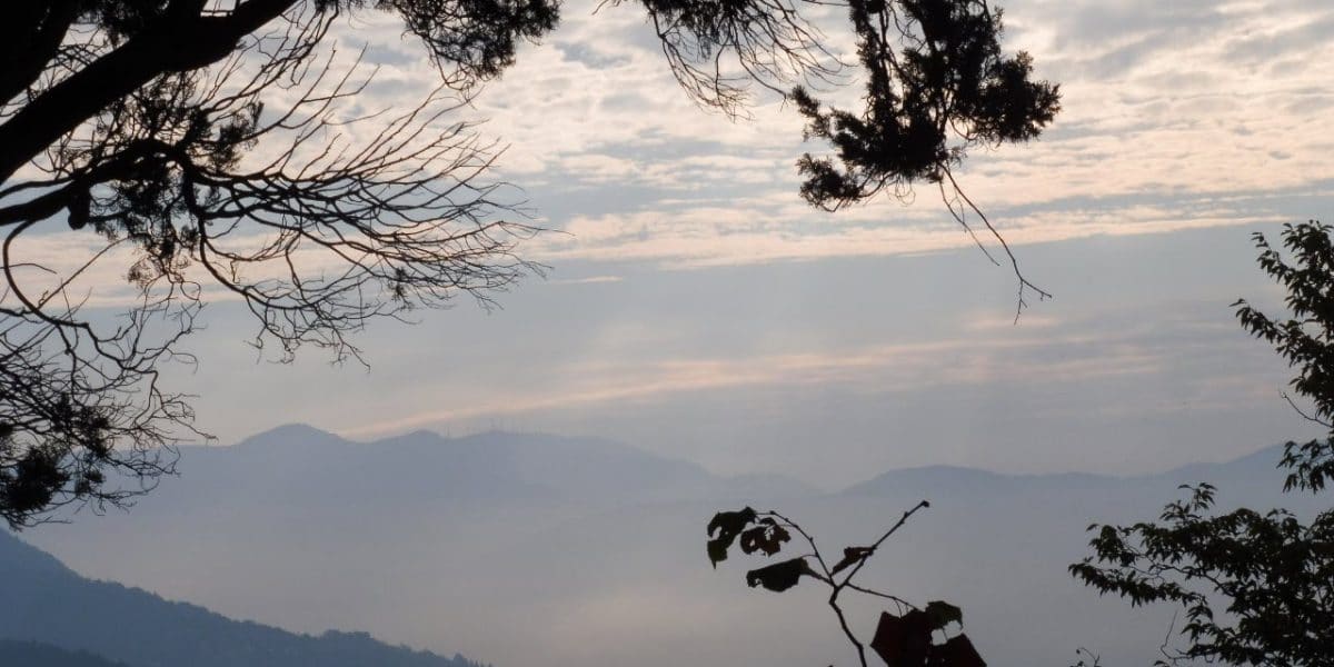 An interview with Nelly Kaufer and Linda Modaro on Reflective ...