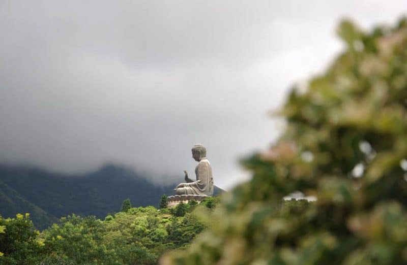 Developing the muscle of reflection in meditation practice - Secular ...