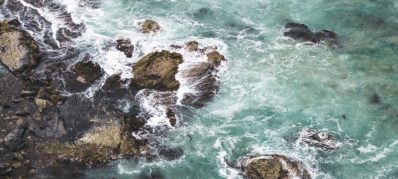 About Secular Buddhism - Secular Buddhist Network