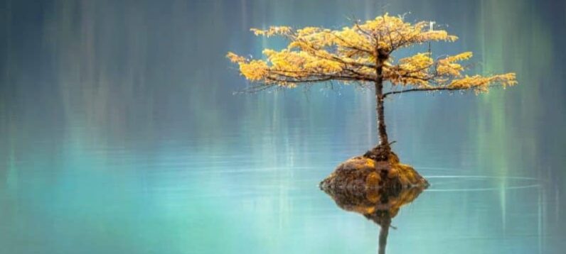 About Secular Buddhism - Secular Buddhist Network